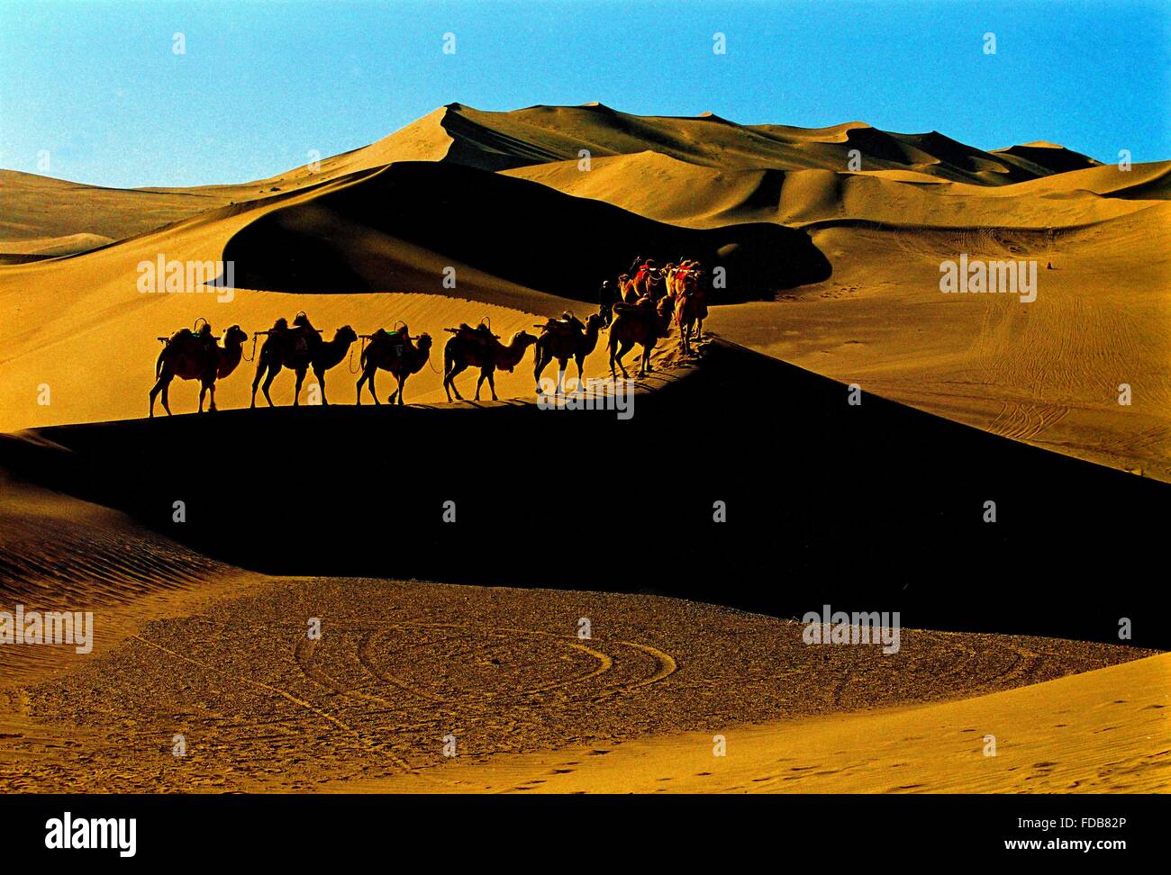 Qinghai Province the desert Stock Photo - Alamy