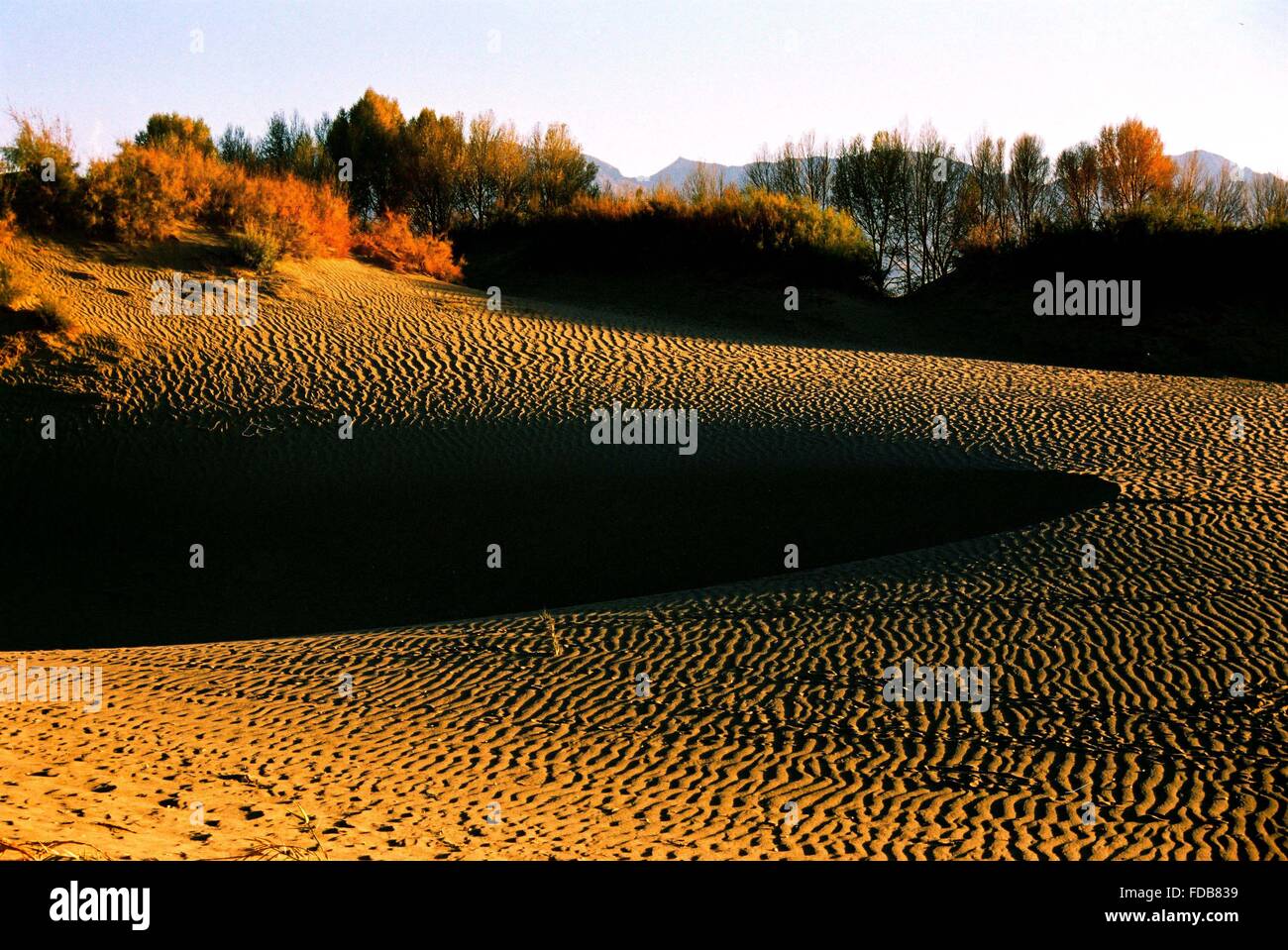 Qinghai Province the desert Stock Photo - Alamy