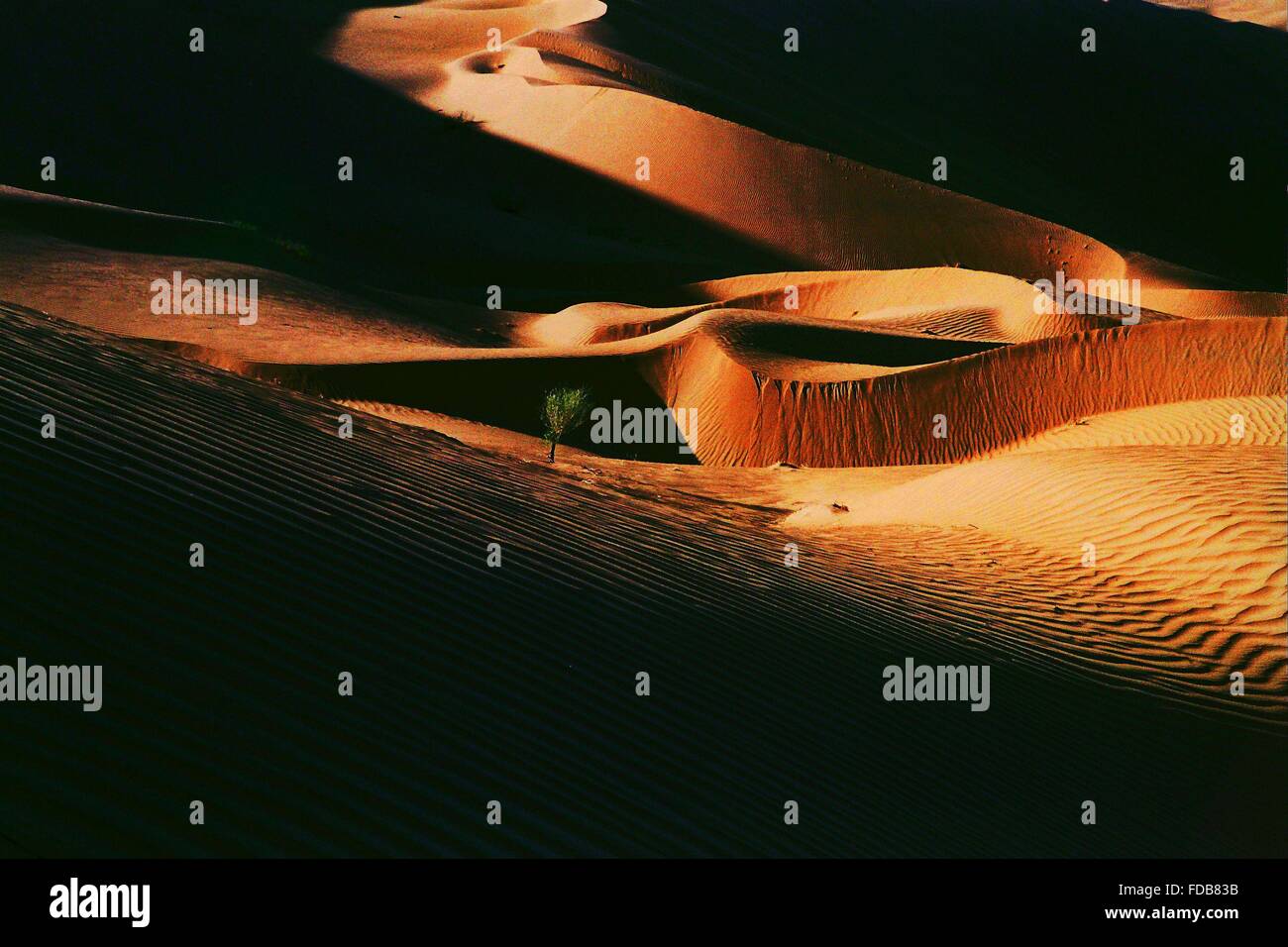 Qinghai Province the desert Stock Photo - Alamy