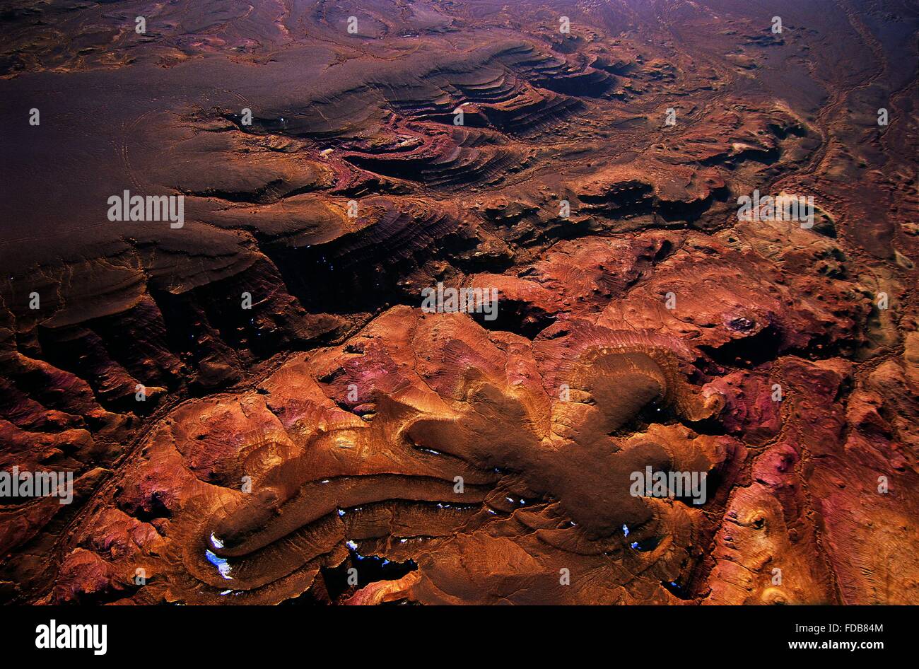 Xinjiang Qitai County Junggar Basin Petrified wood and Dinosaur ...