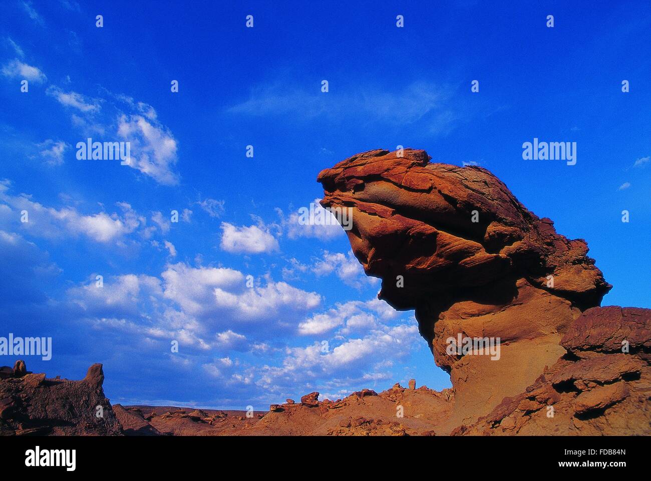 Xinjiang Qitai County Junggar Basin Petrified wood and Dinosaur ...