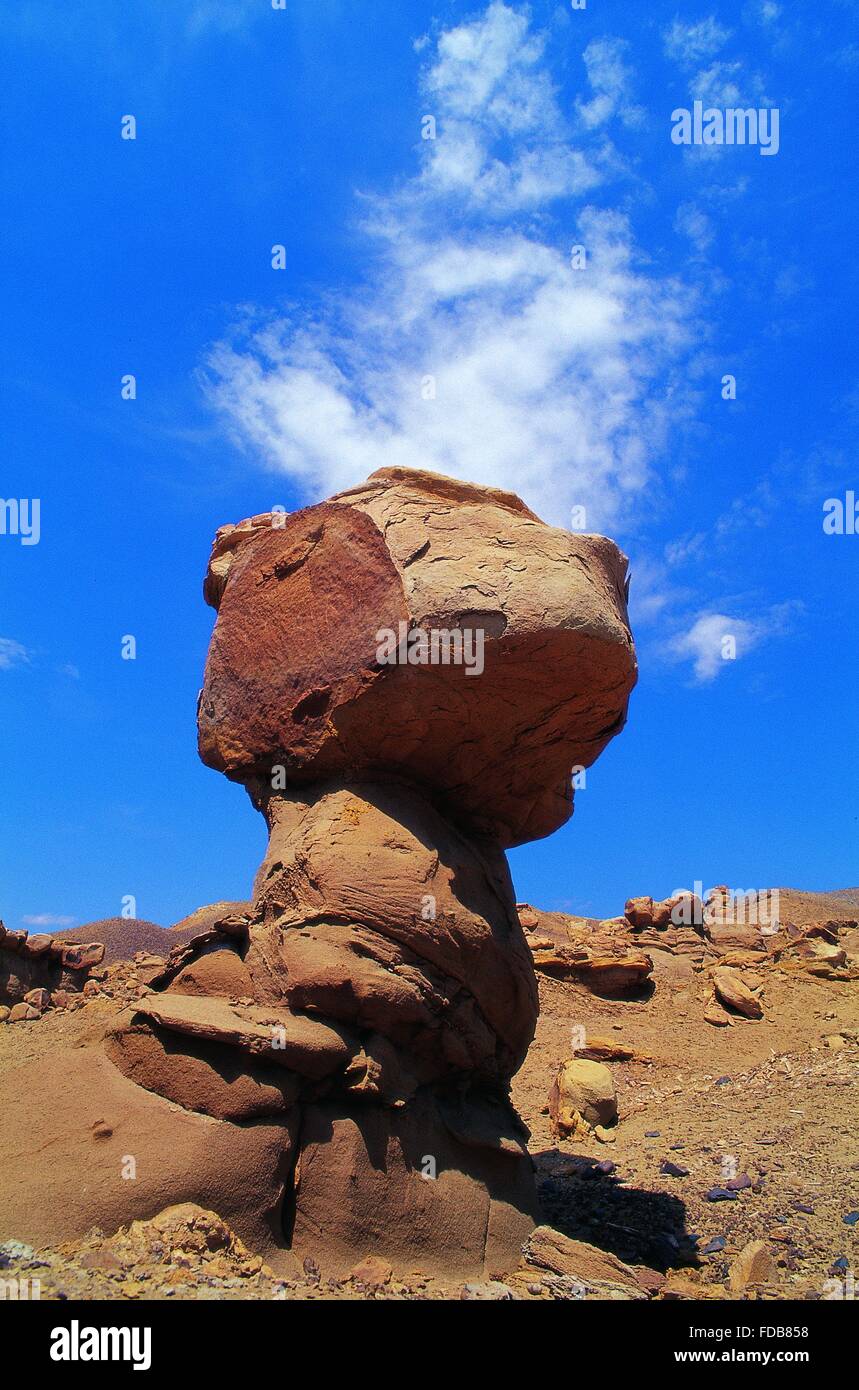 Xinjiang Qitai County Junggar Basin Petrified wood and Dinosaur ...