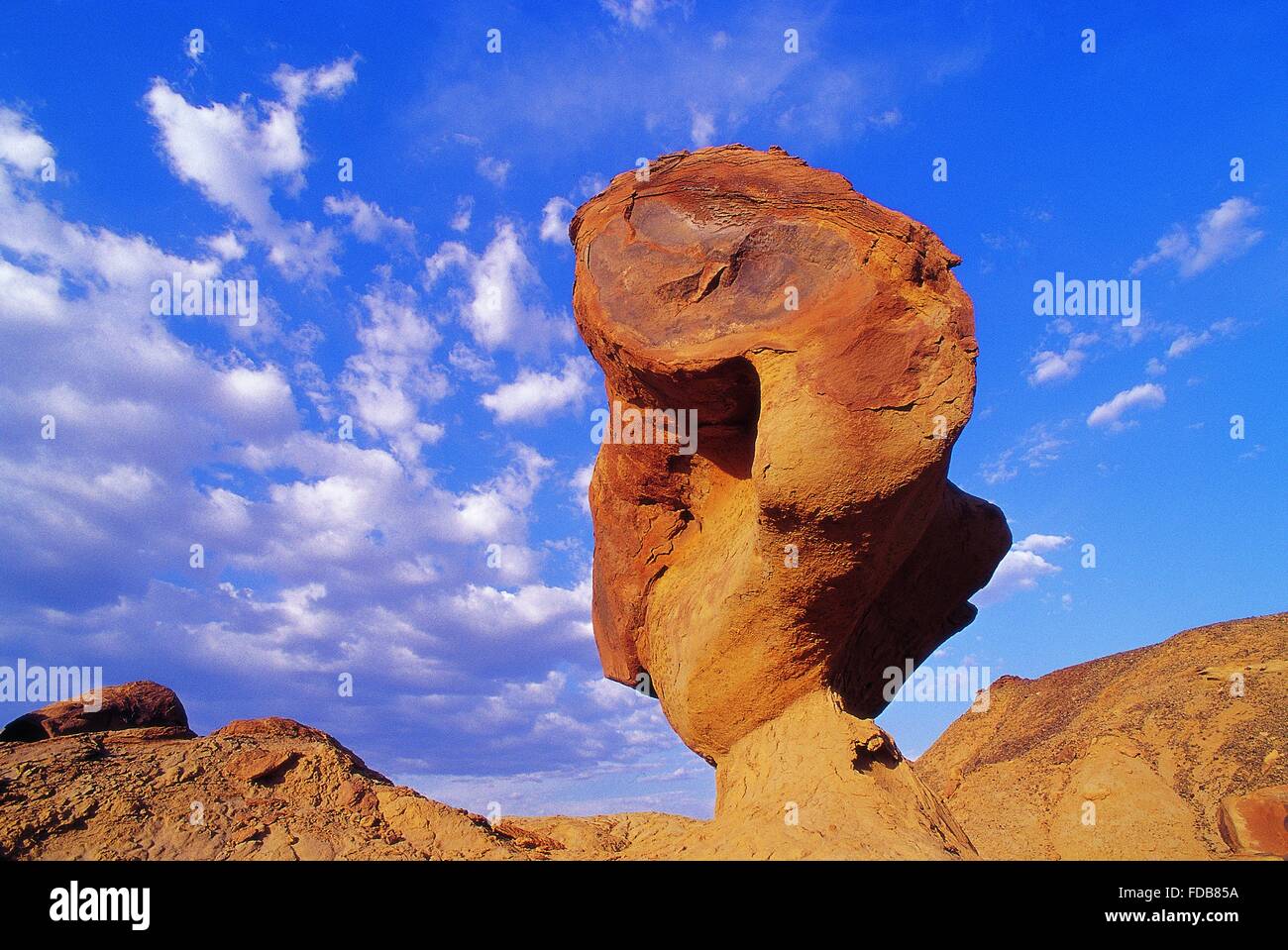 Xinjiang Qitai County Junggar Basin Petrified wood and Dinosaur ...