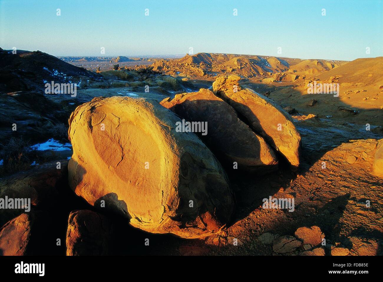 Xinjiang Qitai County Junggar Basin Petrified wood and Dinosaur ...