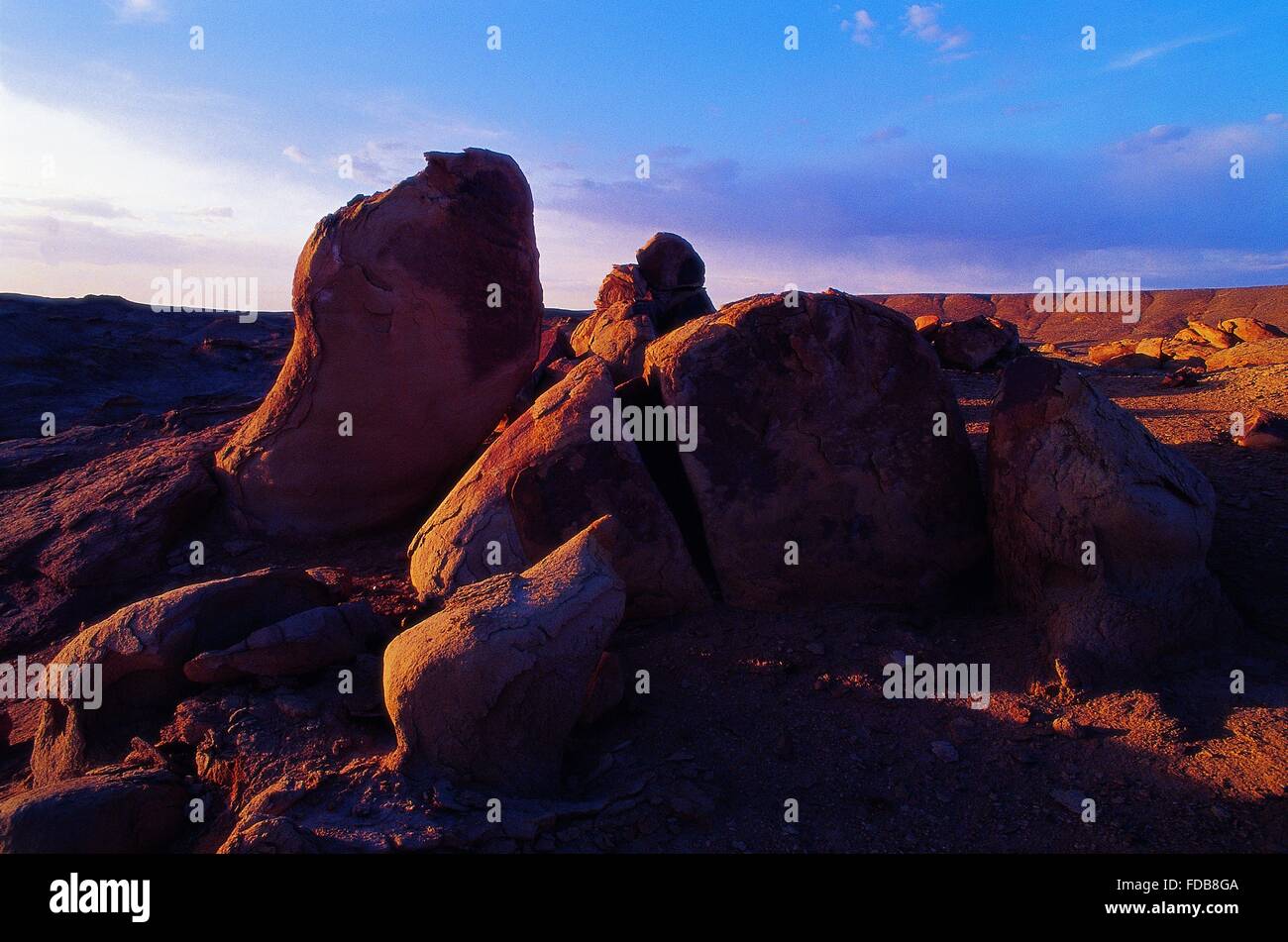 Xinjiang Qitai County Junggar Basin Petrified wood and Dinosaur ...