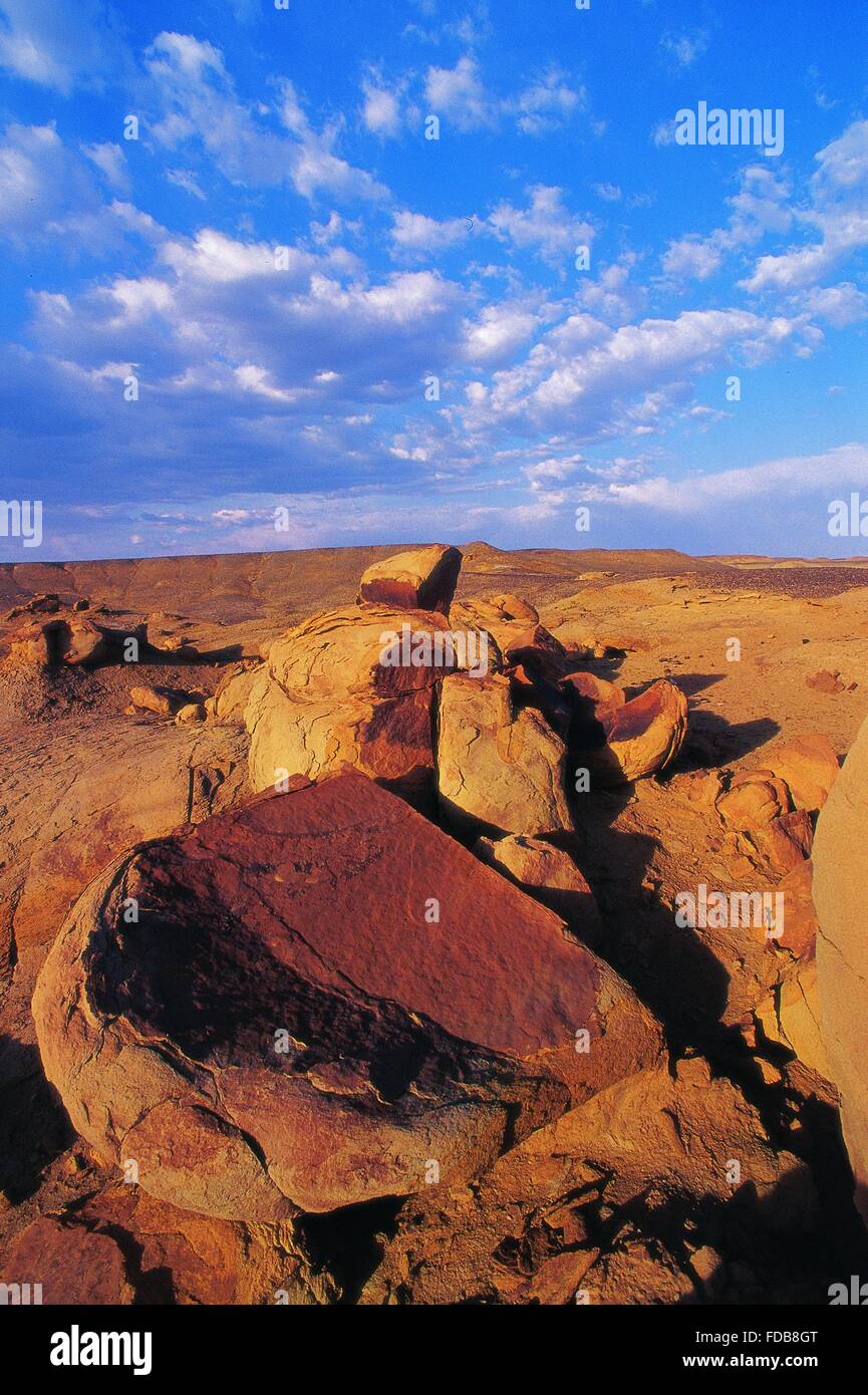 Xinjiang Qitai County Junggar Basin Petrified wood and Dinosaur ...