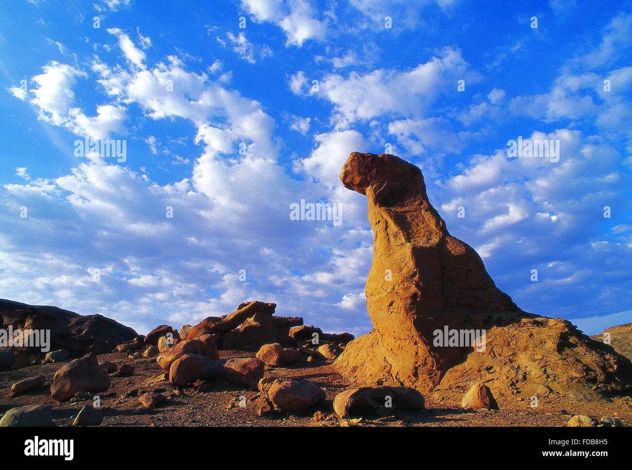 Xinjiang Qitai County Junggar Basin Petrified wood and Dinosaur ...