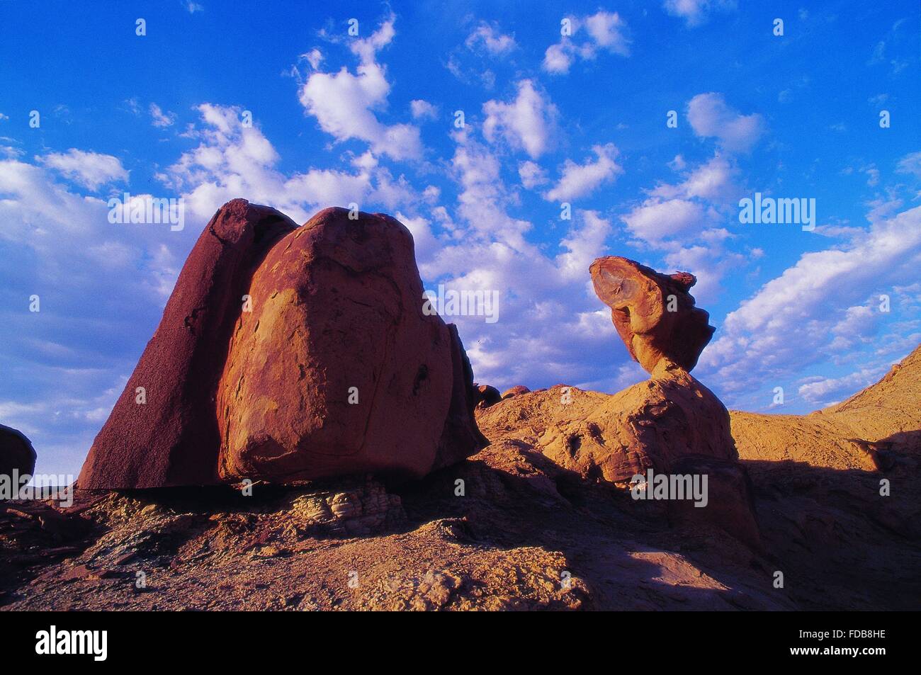 Xinjiang Qitai County Junggar Basin Petrified wood and Dinosaur ...
