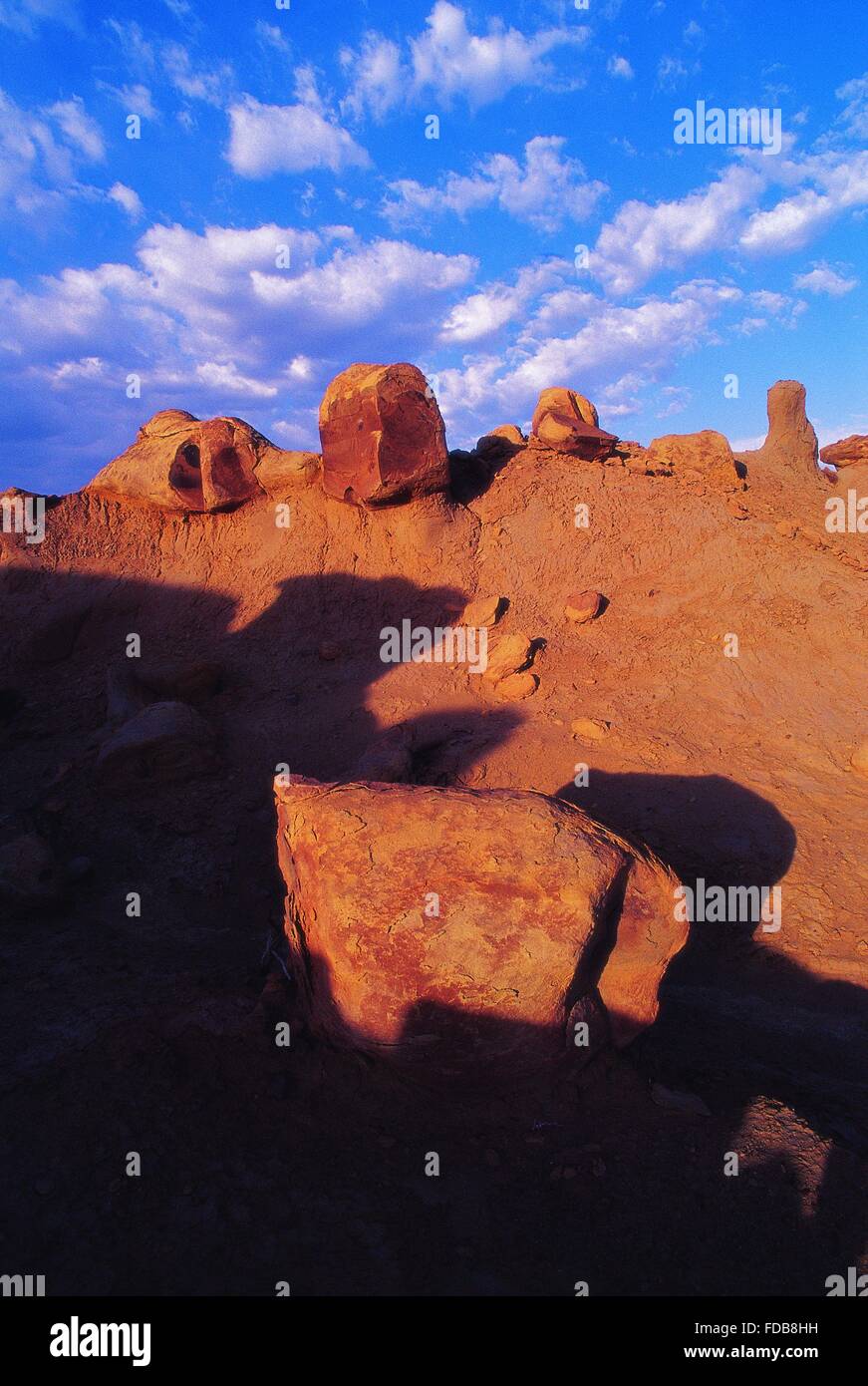 Xinjiang Qitai County Junggar Basin Petrified wood and Dinosaur ...