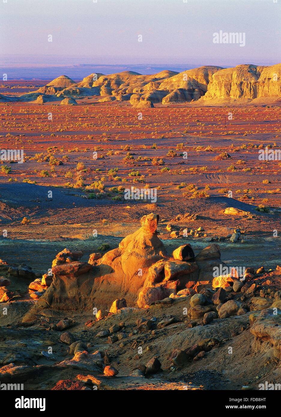 Xinjiang Qitai County Junggar Basin Petrified wood and Dinosaur ...