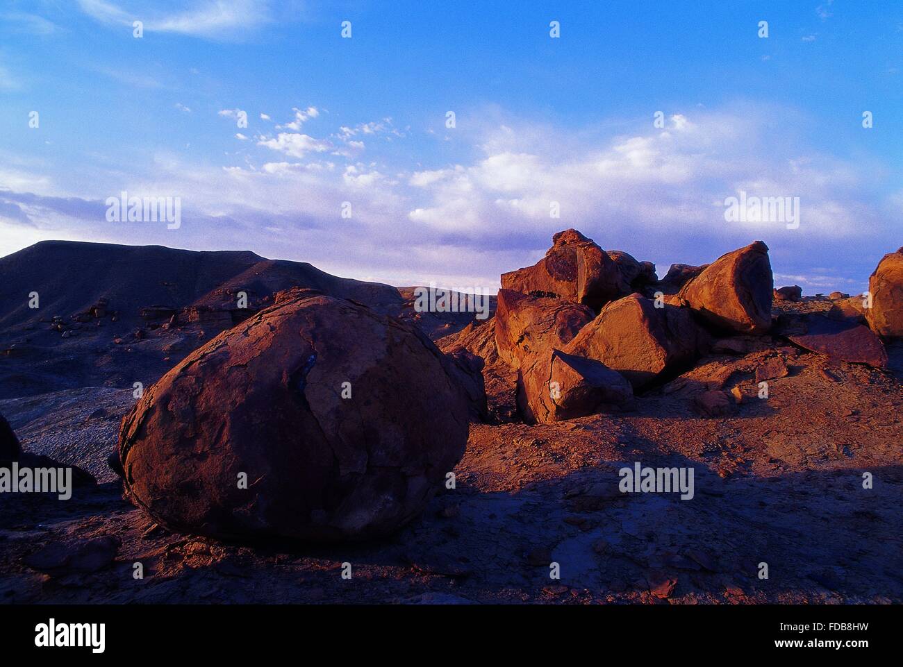 Xinjiang Qitai County Junggar Basin Petrified wood and Dinosaur ...