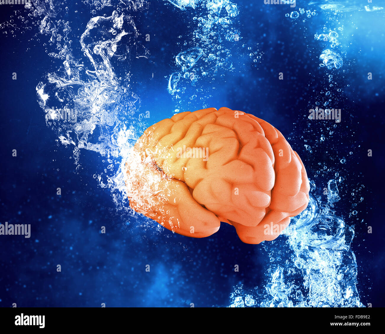 Human brain floating in clear blue water Stock Photo - Alamy
