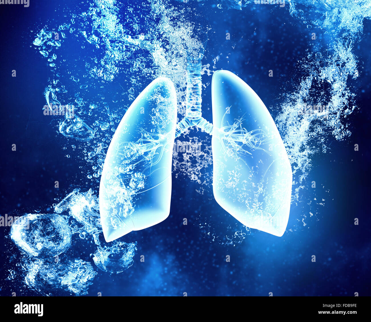 Human lungs under clear blue crystal water Stock Photo - Alamy