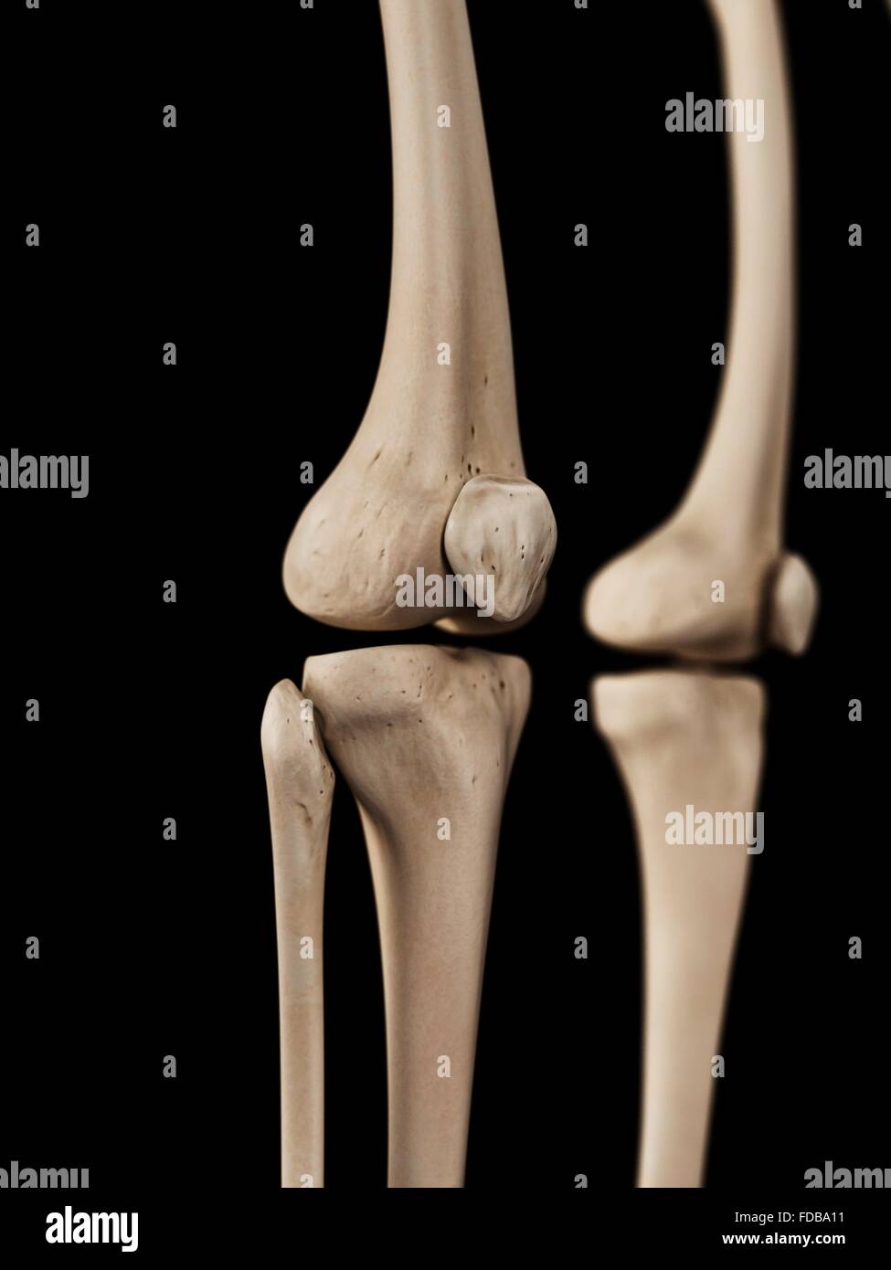 Human knees hi-res stock photography and images - Alamy