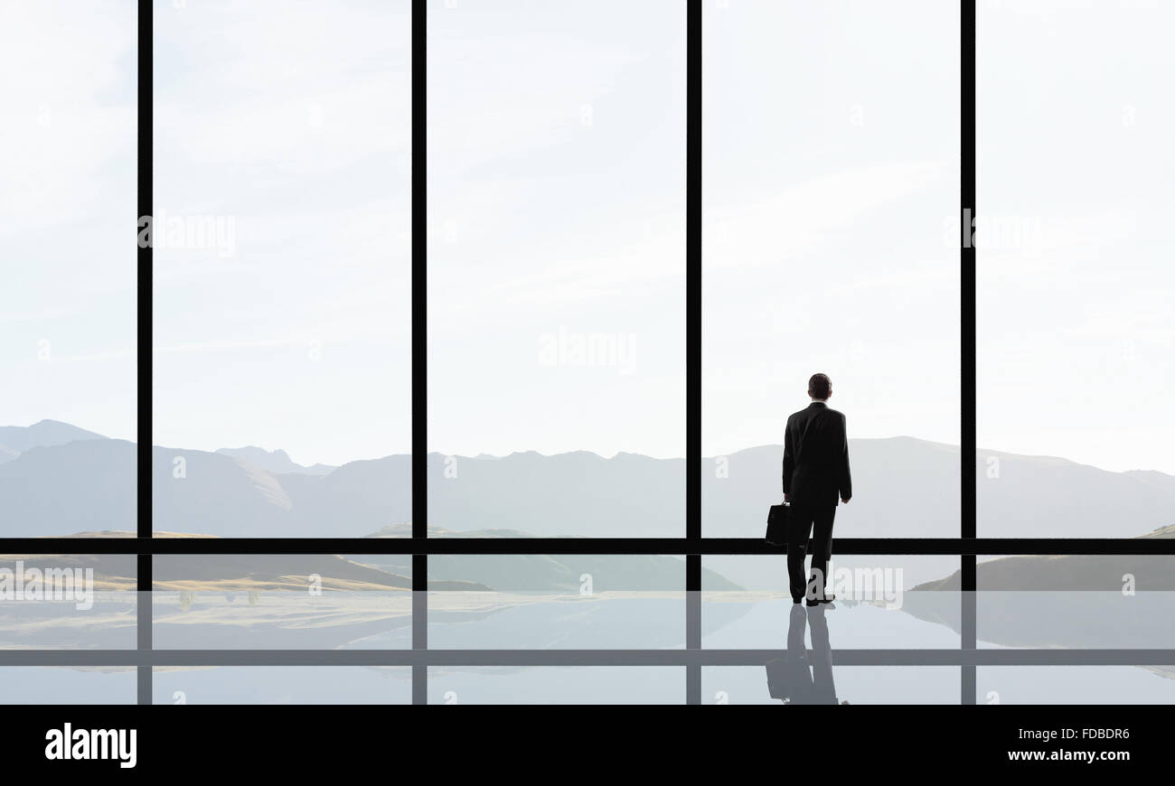 Back view of businessman looking in office window Stock Photo - Alamy