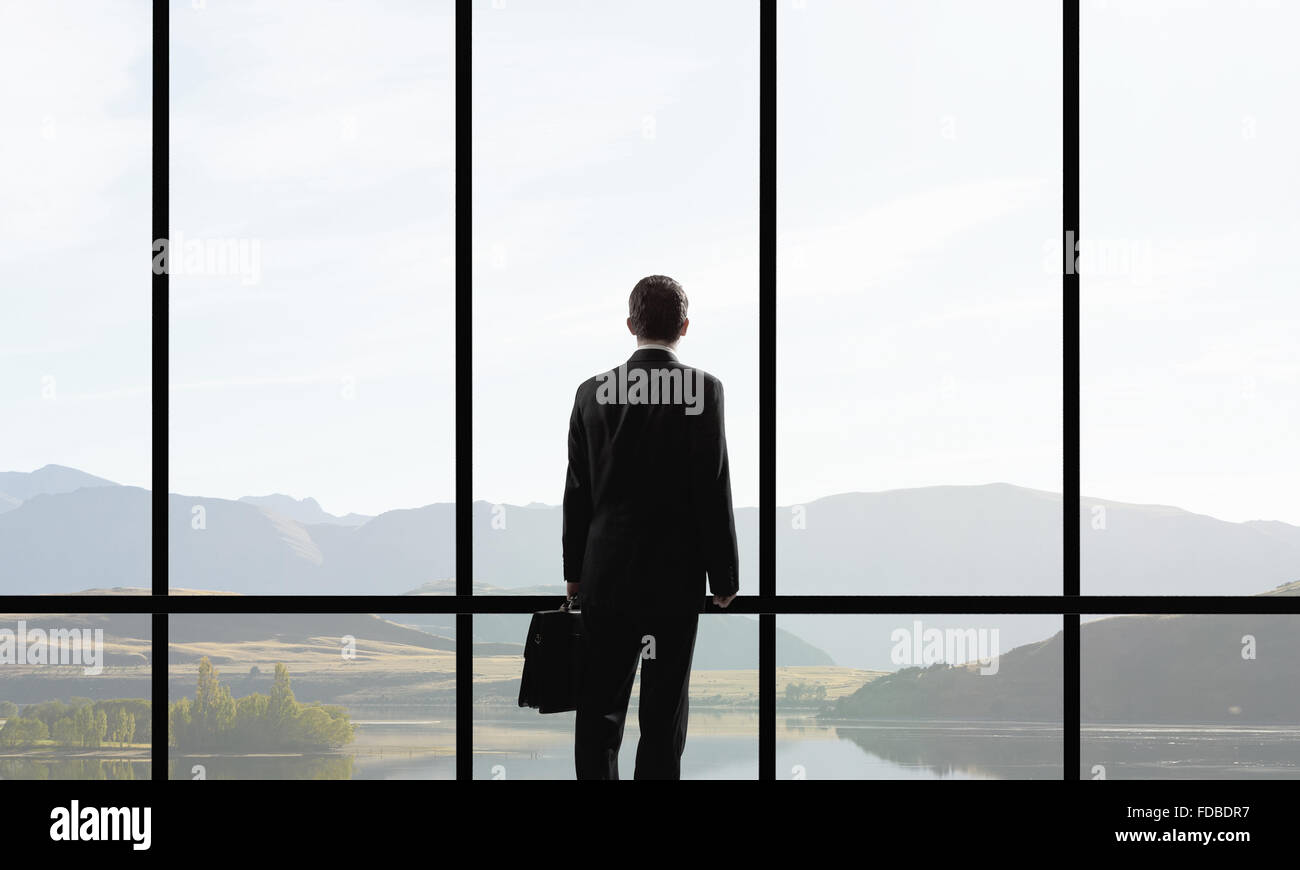 Back view of businessman looking in office window Stock Photo - Alamy