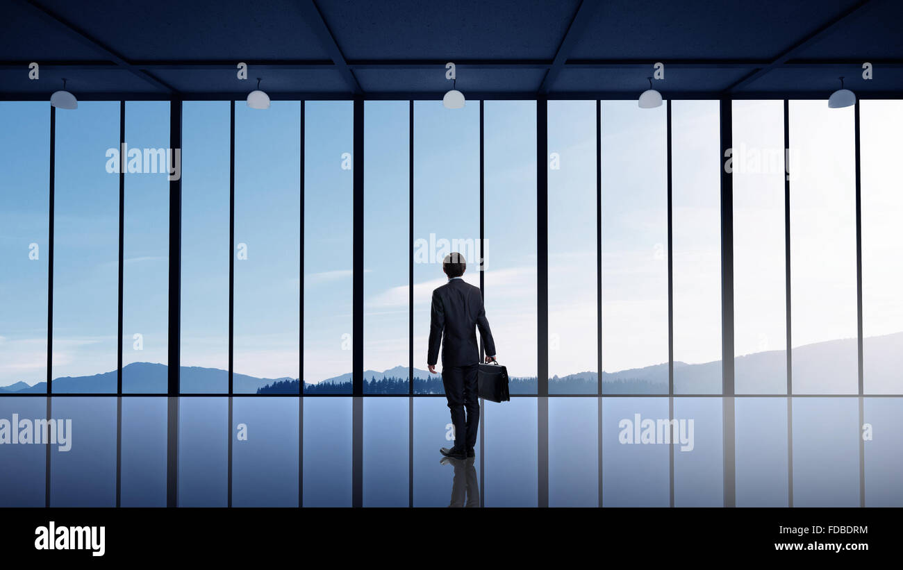 Back view of businessman looking in office window Stock Photo - Alamy