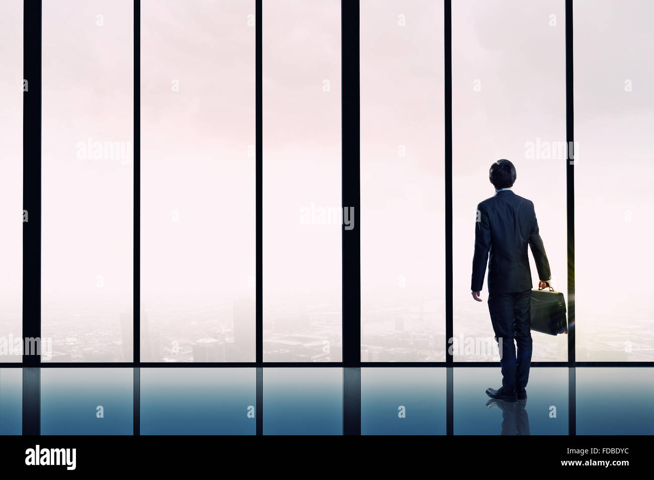 Back view of businessman looking in office window Stock Photo - Alamy