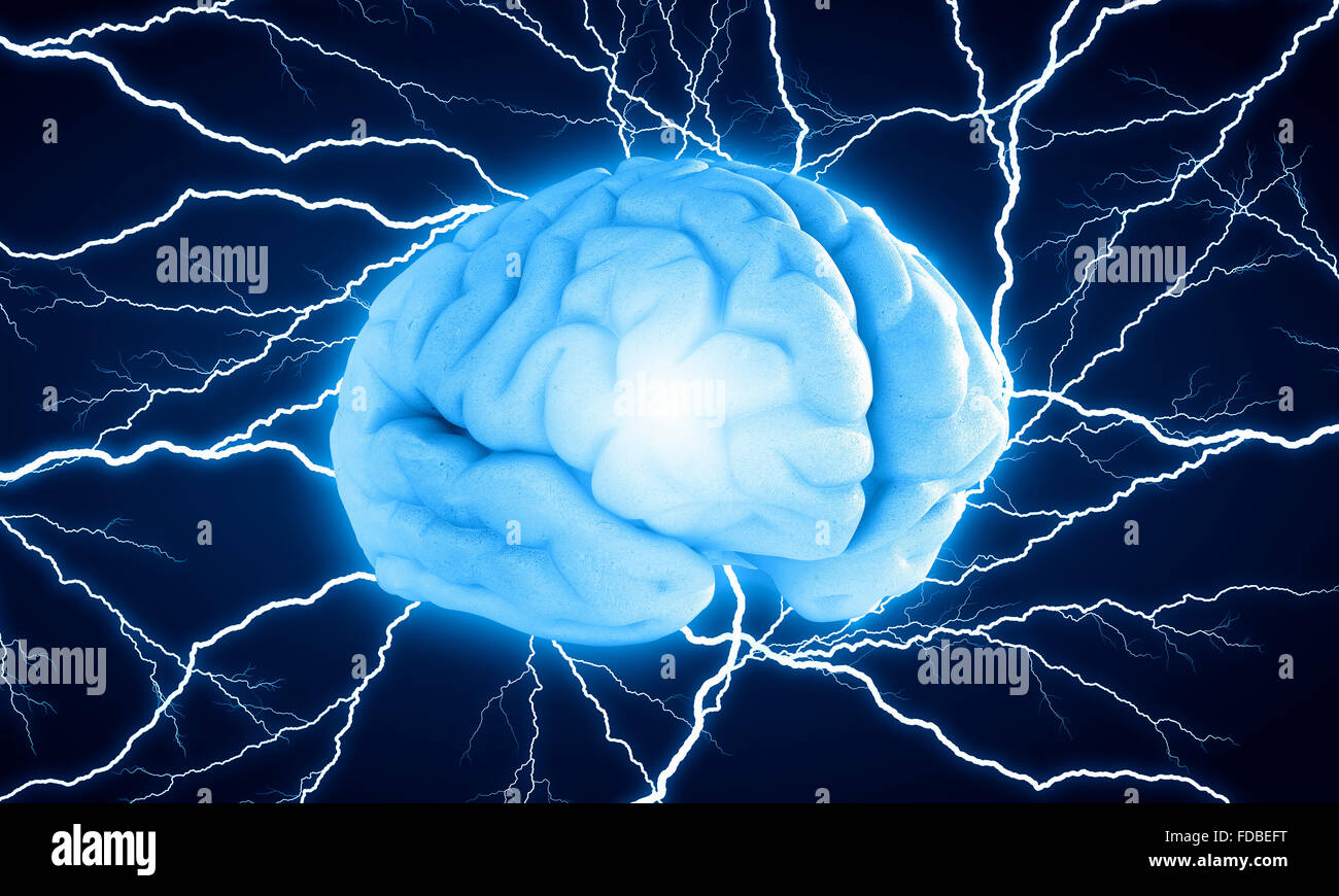 Concept of human intelligence with human brain on blue digital ...