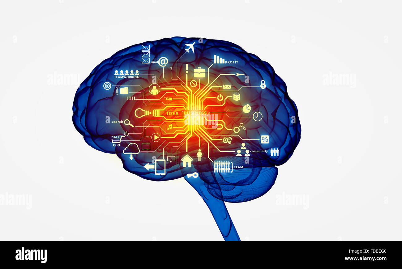 Concept of human intelligence with human brain on white digital ...