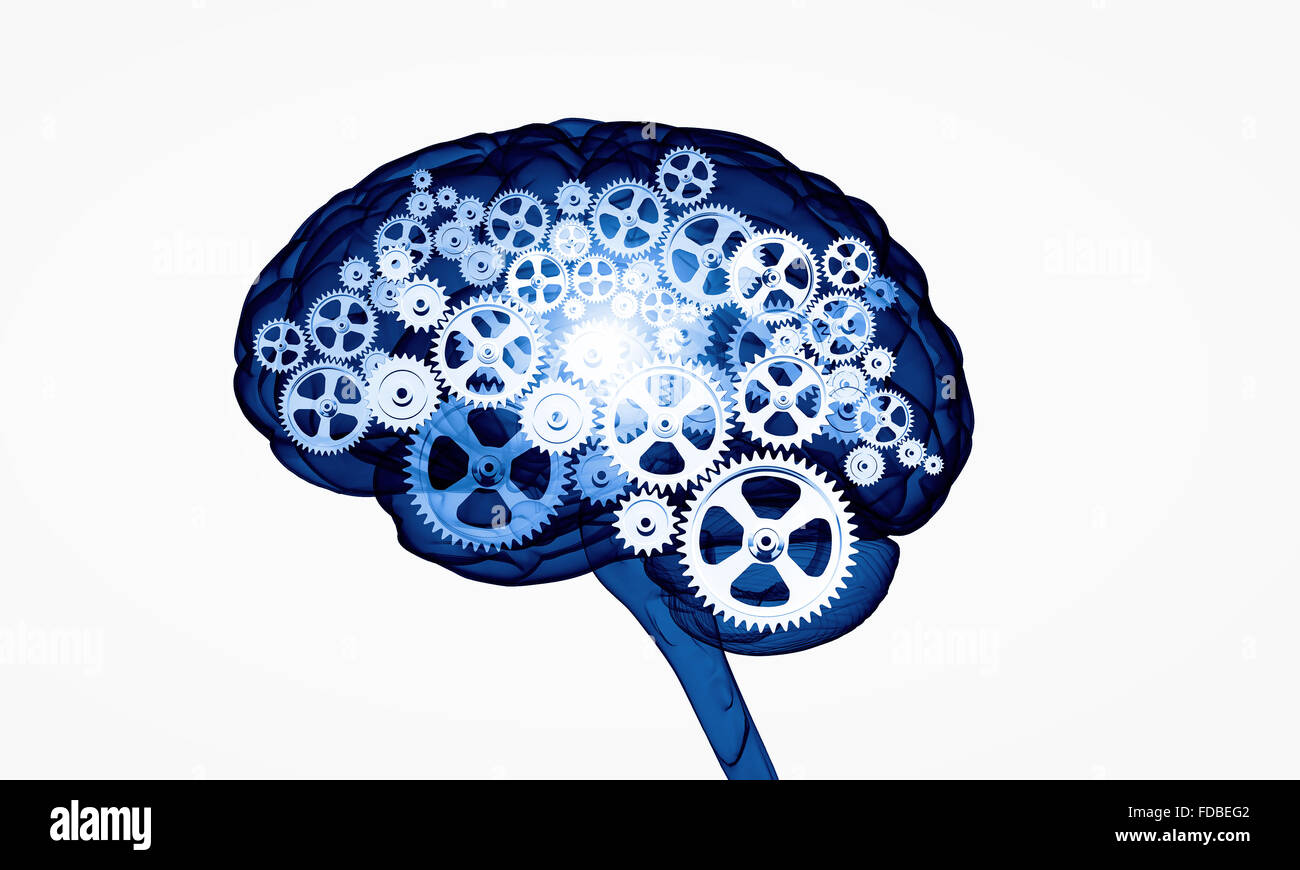 Concept of human intelligence with human brain on white digital ...