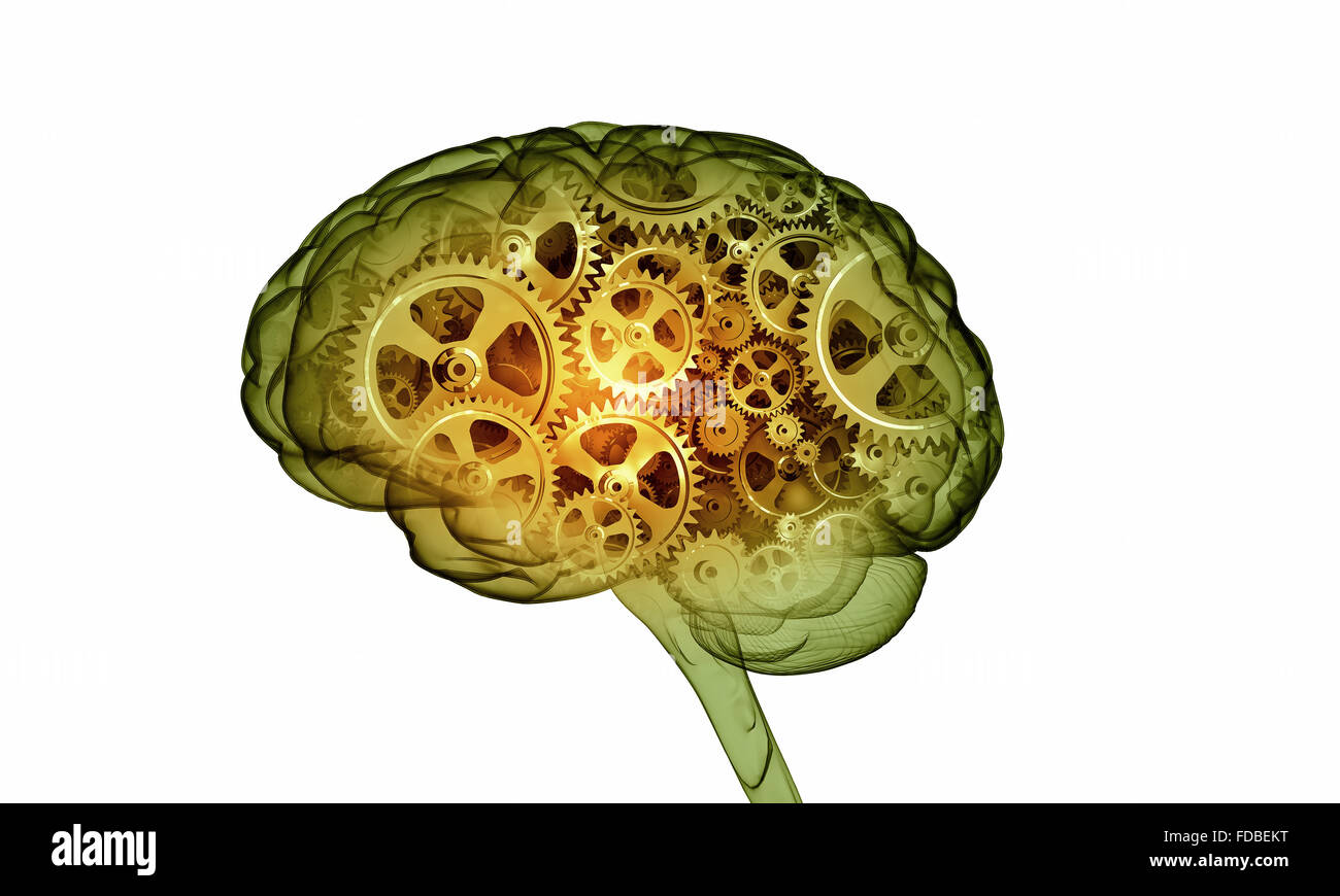 Concept of human intelligence with human brain on white digital ...