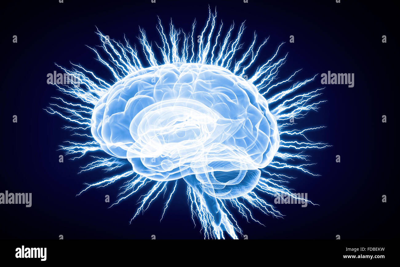 Concept of human intelligence with human brain on blue digital ...