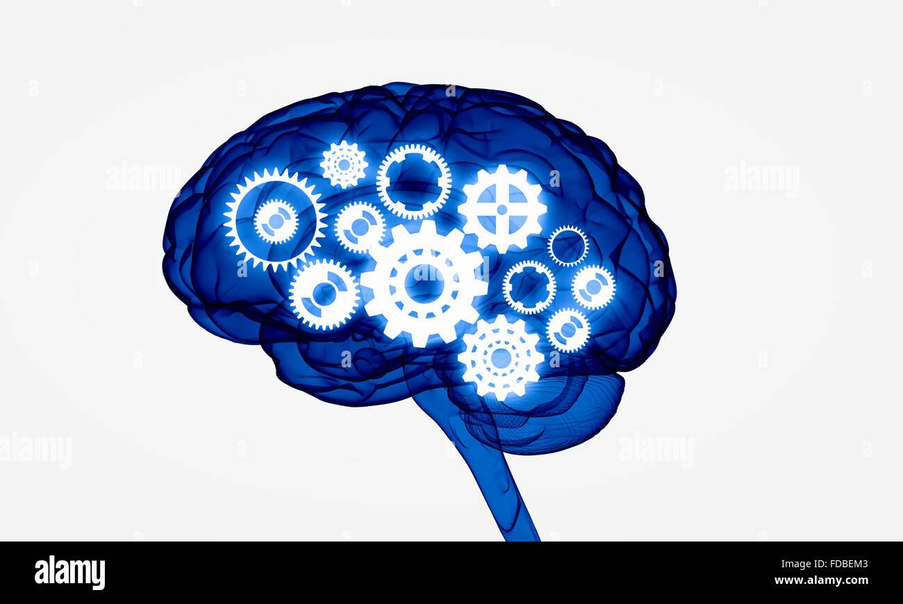 Concept of human intelligence with human brain on white digital ...