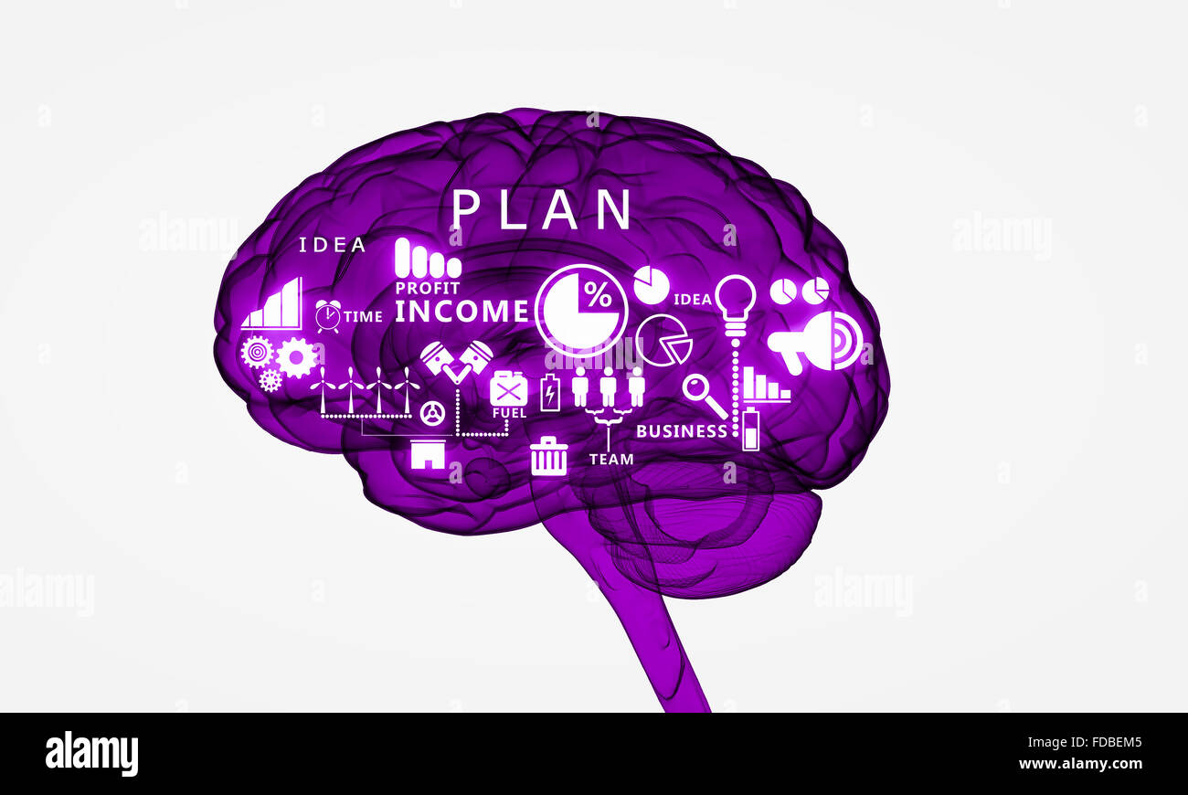 Concept of human intelligence with human brain on white digital ...