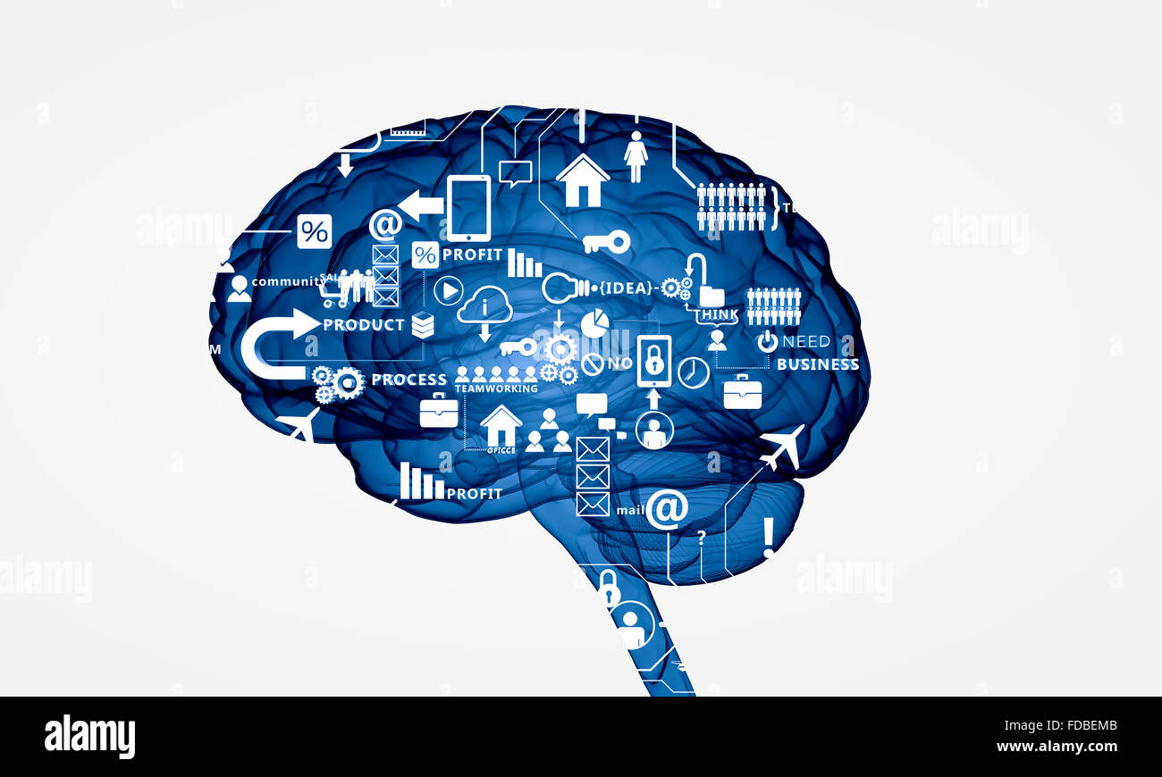 Concept of human intelligence with human brain on white digital ...