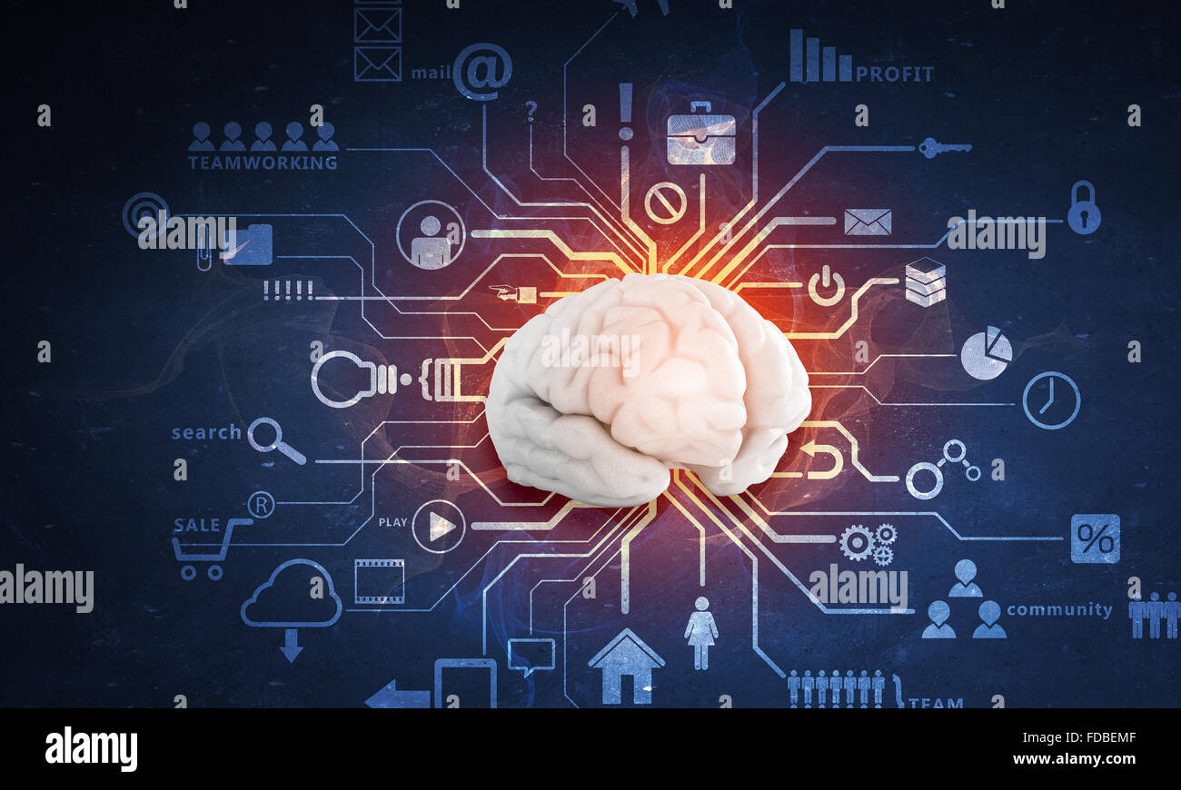 Concept of human intelligence with human brain on white digital ...