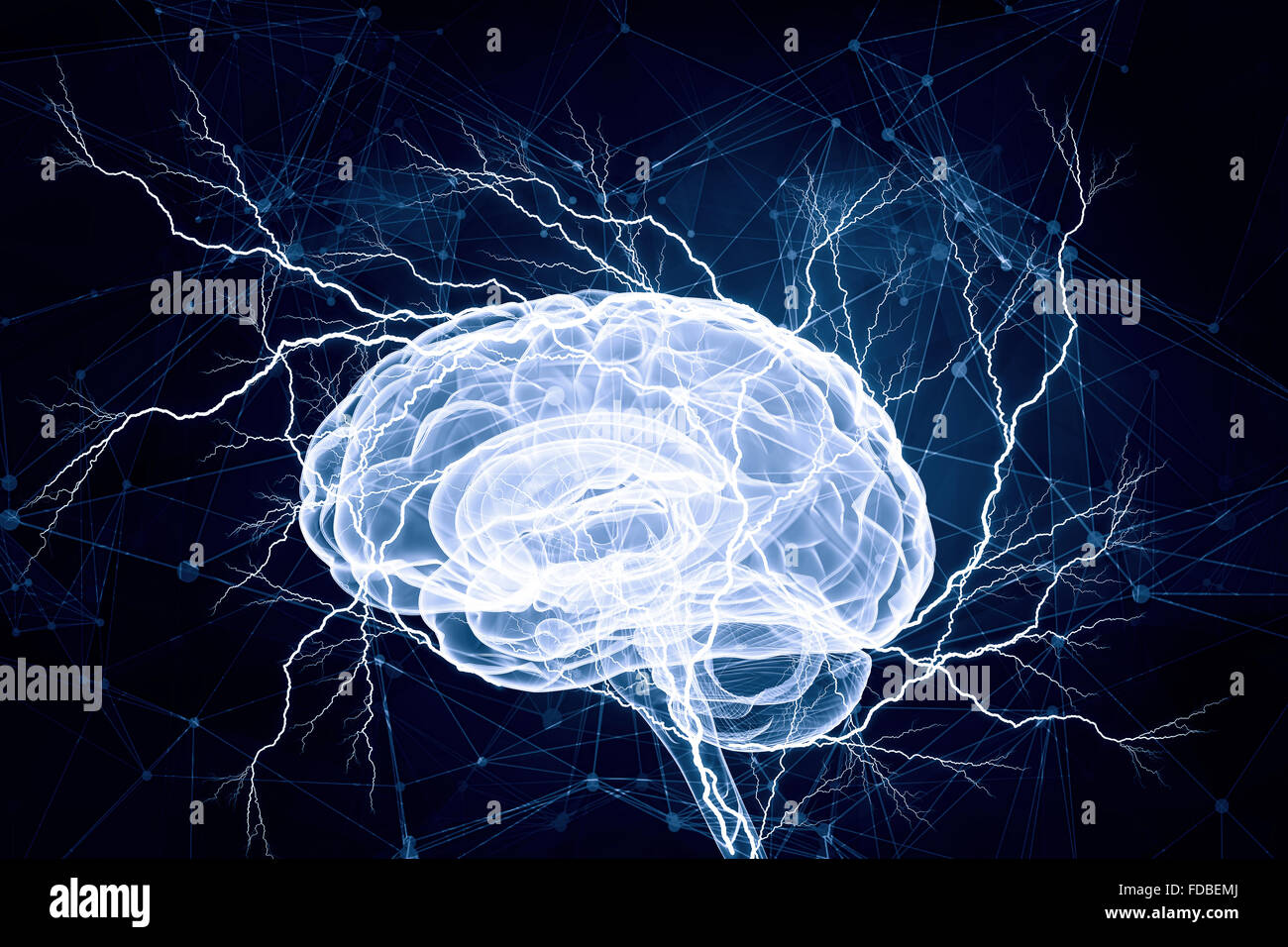 Concept of human intelligence with human brain on blue digital ...