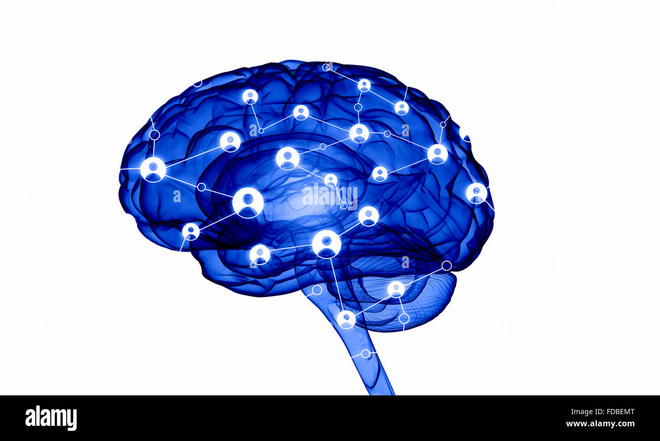 Concept of human intelligence with human brain on white digital ...