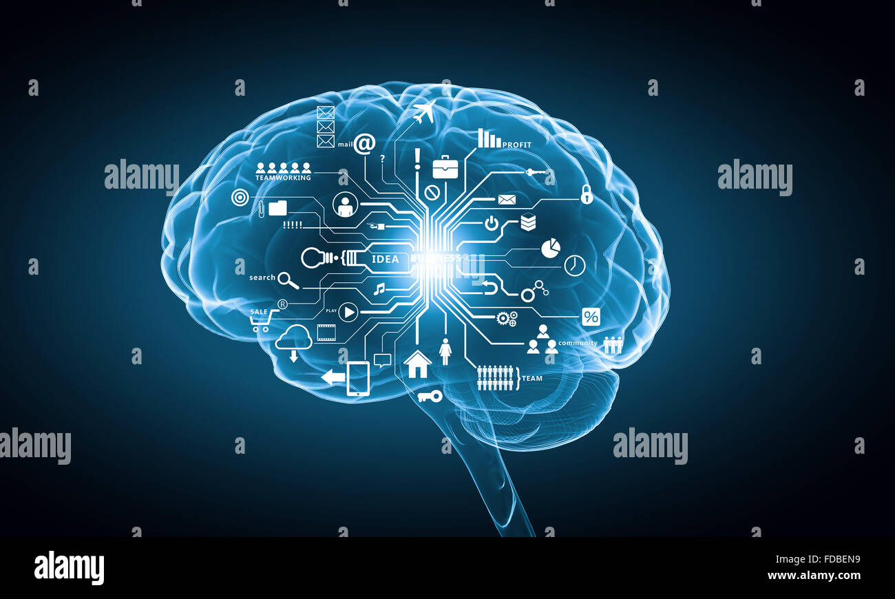 Human Brain Wallpaper