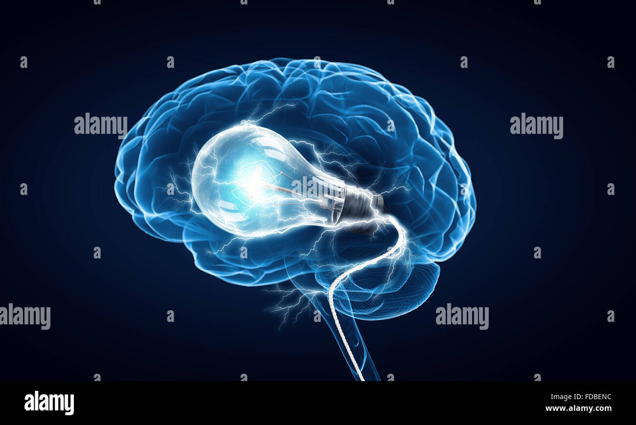 Concept of human intelligence with human brain on white digital ...