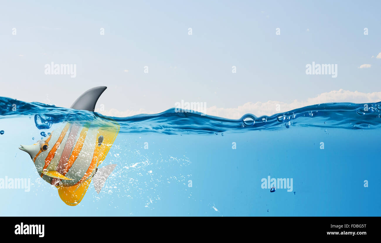 Exotic fish in water wearing shark fin to scare predators Stock Photo ...