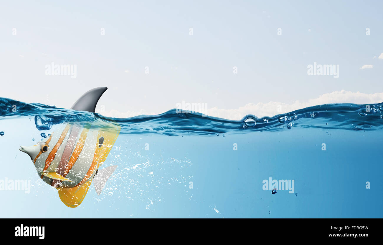Exotic fish in water wearing shark fin to scare predators Stock Photo ...