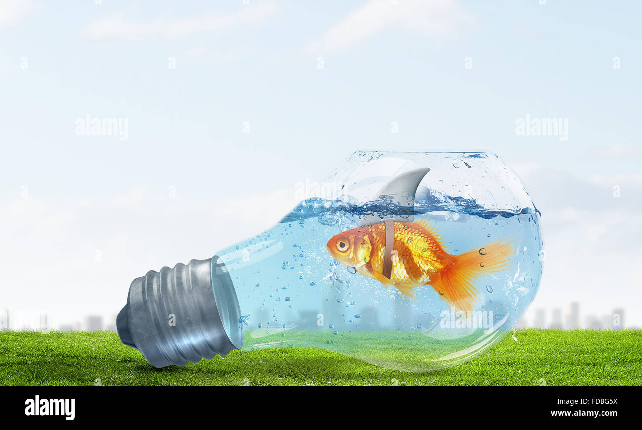 Little goldfish in light bulb wearing shark fin Stock Photo - Alamy