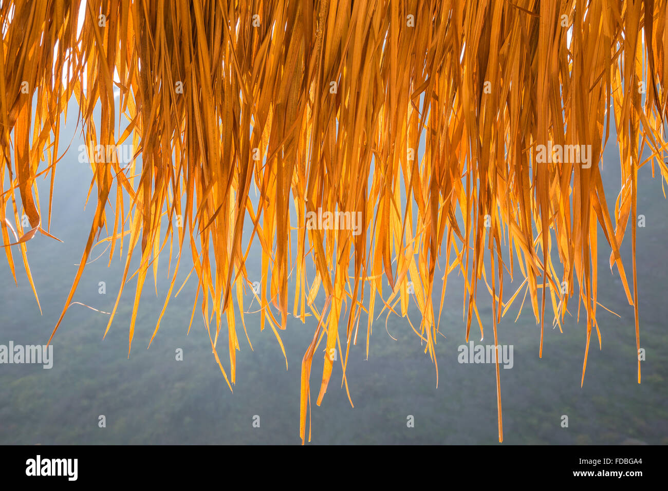 Close up straw background. Texture of straw Stock Photo - Alamy
