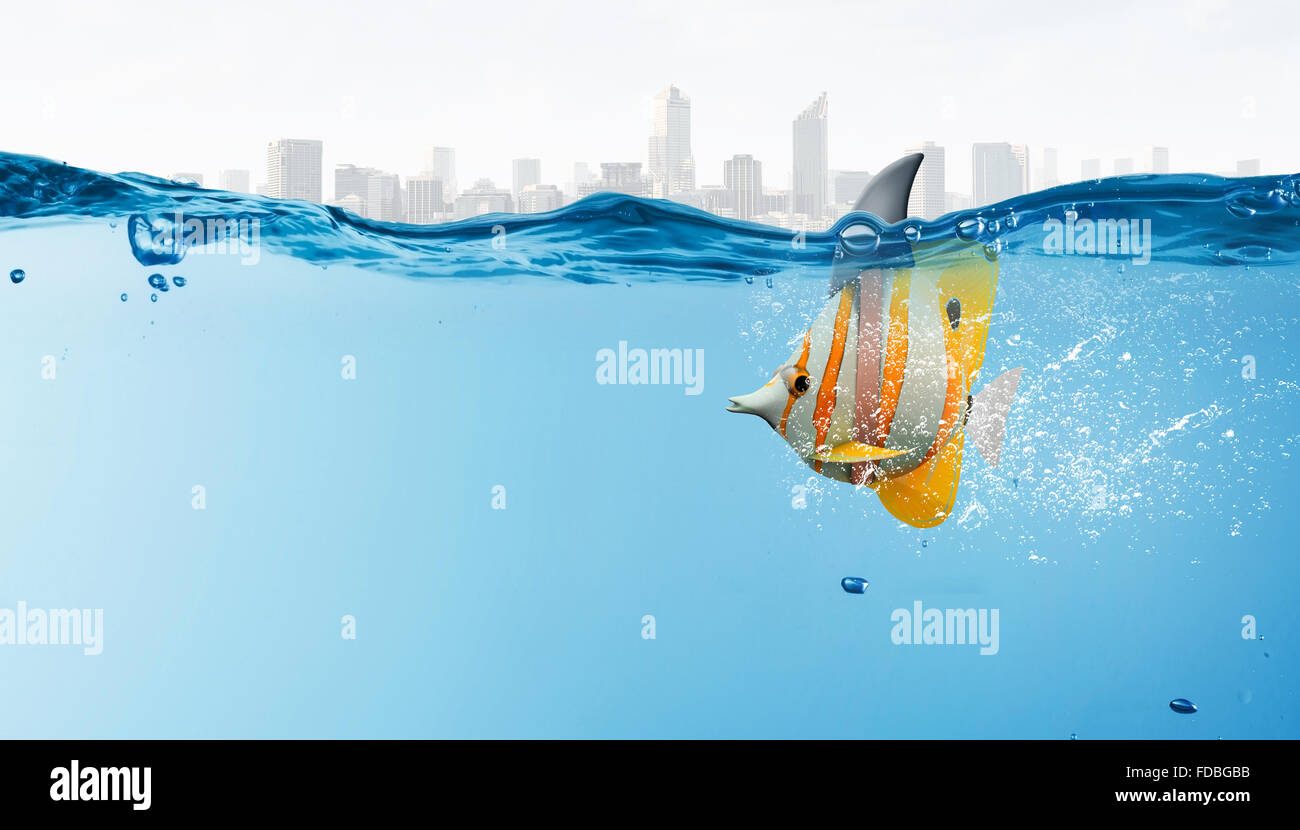Exotic fish in water wearing shark fin to scare predators Stock Photo ...