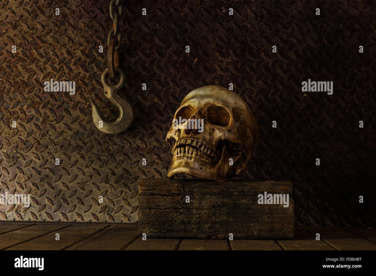 Still Life with a Skull Stock Photo - Alamy