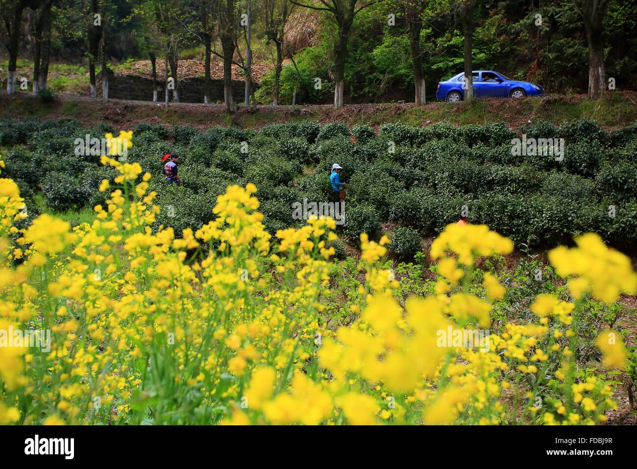 Anhui Province Shexian County Xin Stock Photo - Alamy