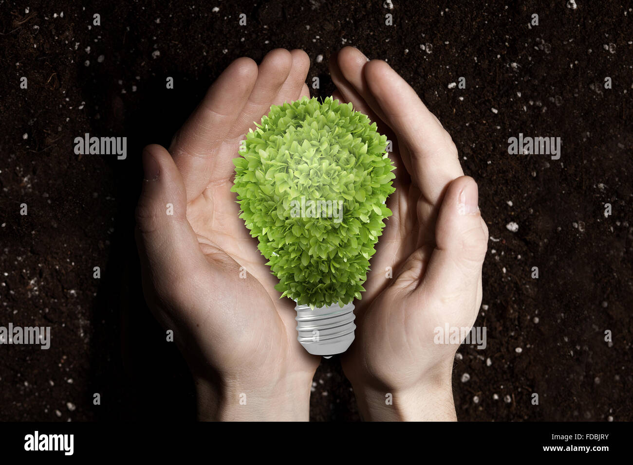 Green light bulb in palms on soil background Stock Photo - Alamy