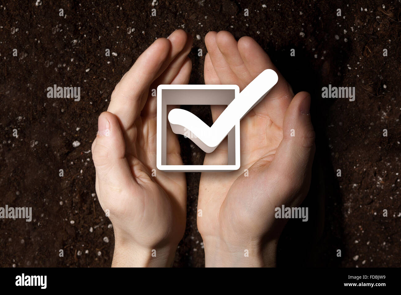 Male hands holding tick icon in palms on soil background Stock Photo ...