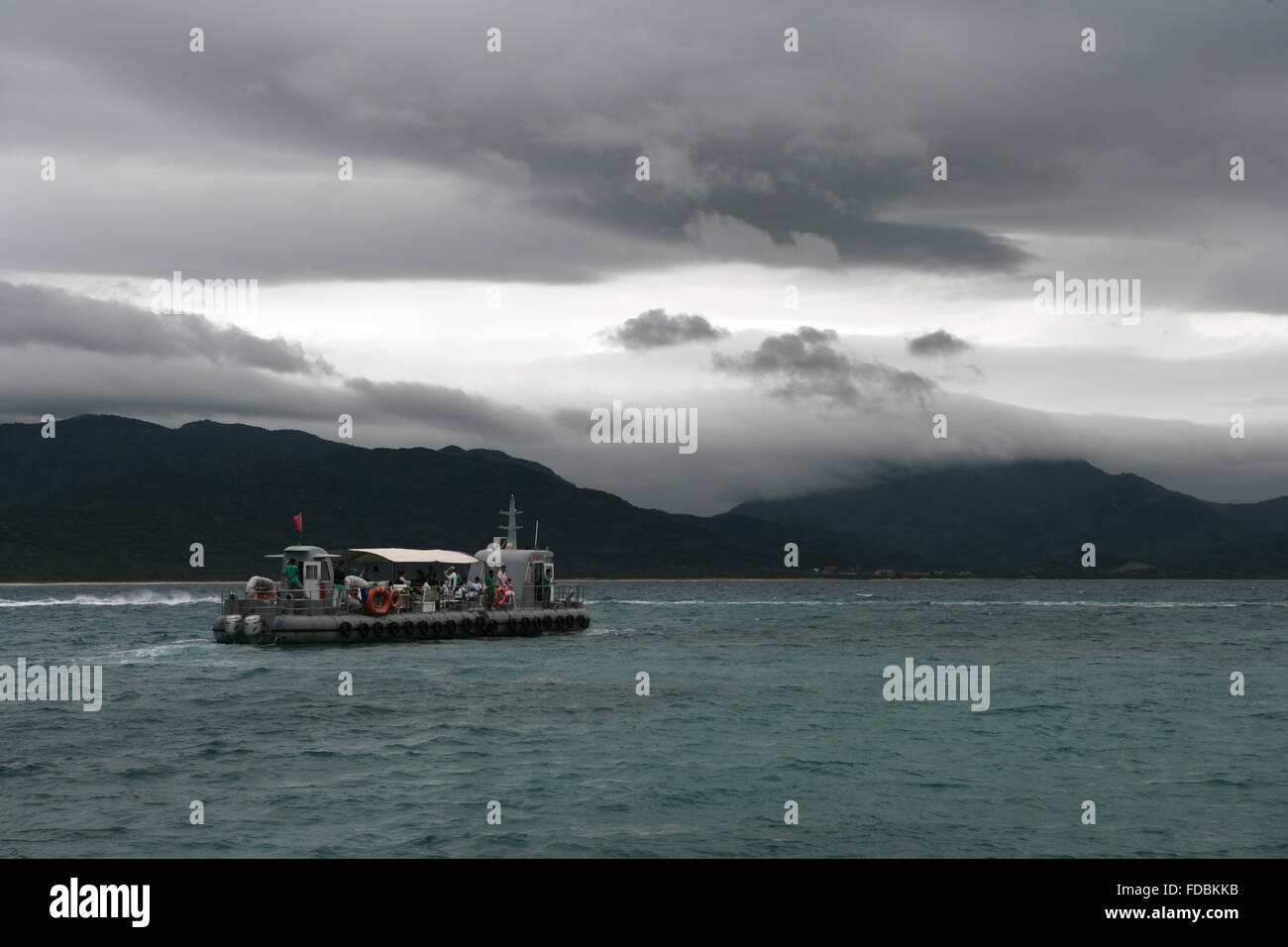 China Hainan province Sanya City Whale sharks feed Stock Photo - Alamy