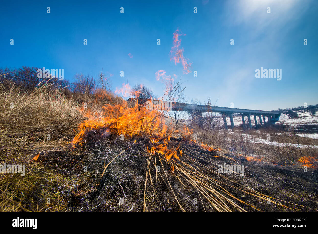 Wild grass on fire Stock Photo - Alamy