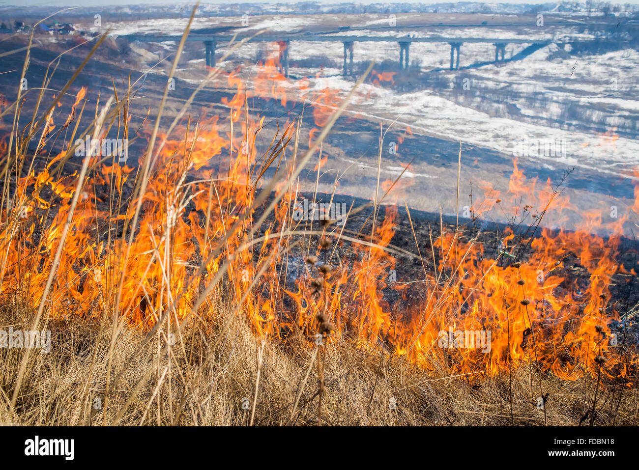Wild grass on fire Stock Photo - Alamy