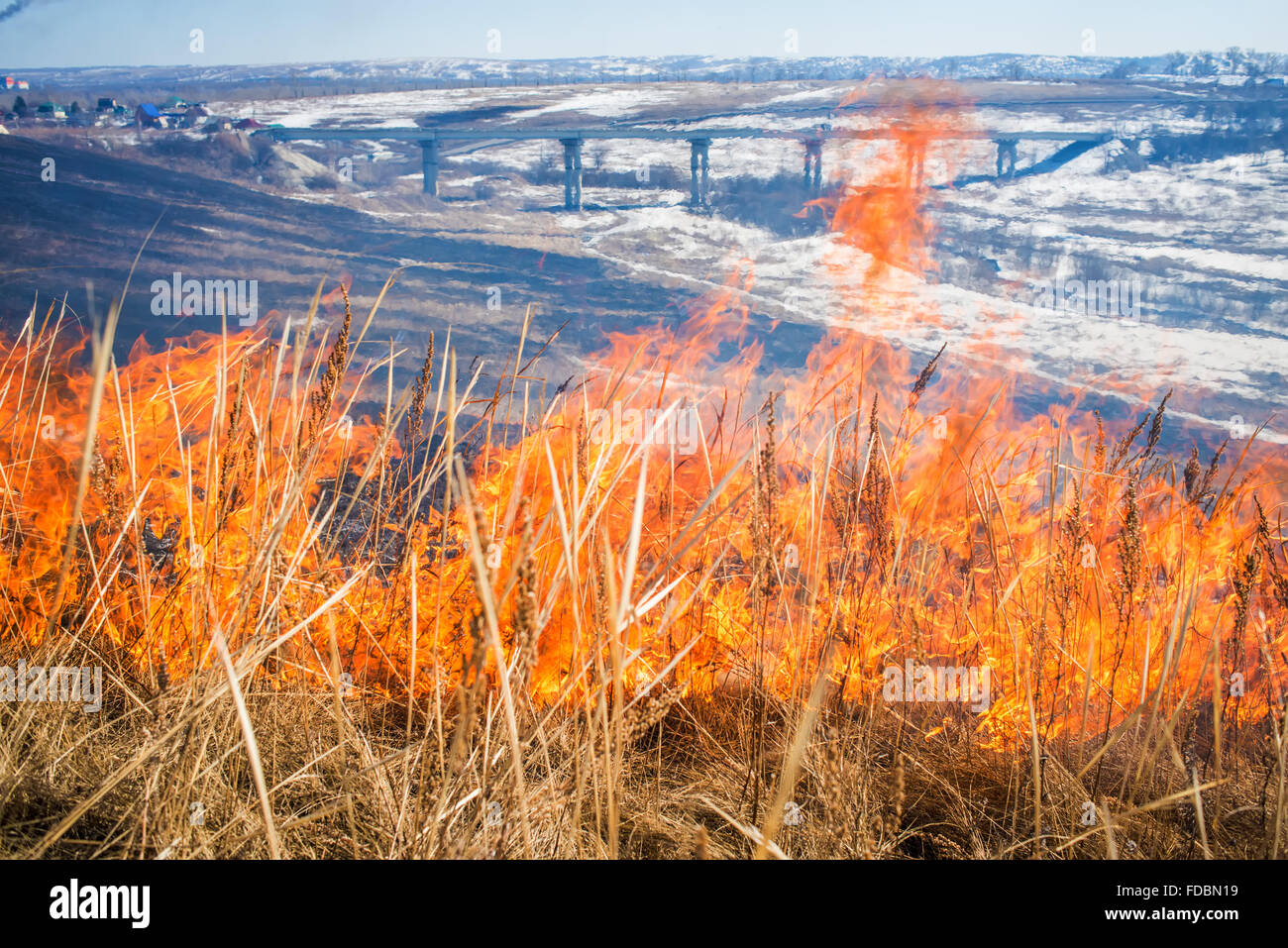 Wild grass on fire Stock Photo - Alamy