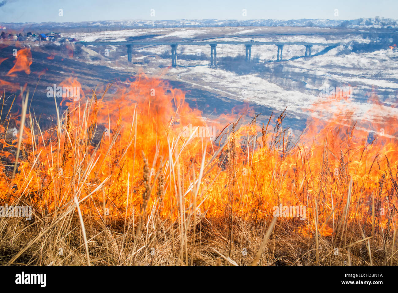 Wild grass on fire Stock Photo - Alamy