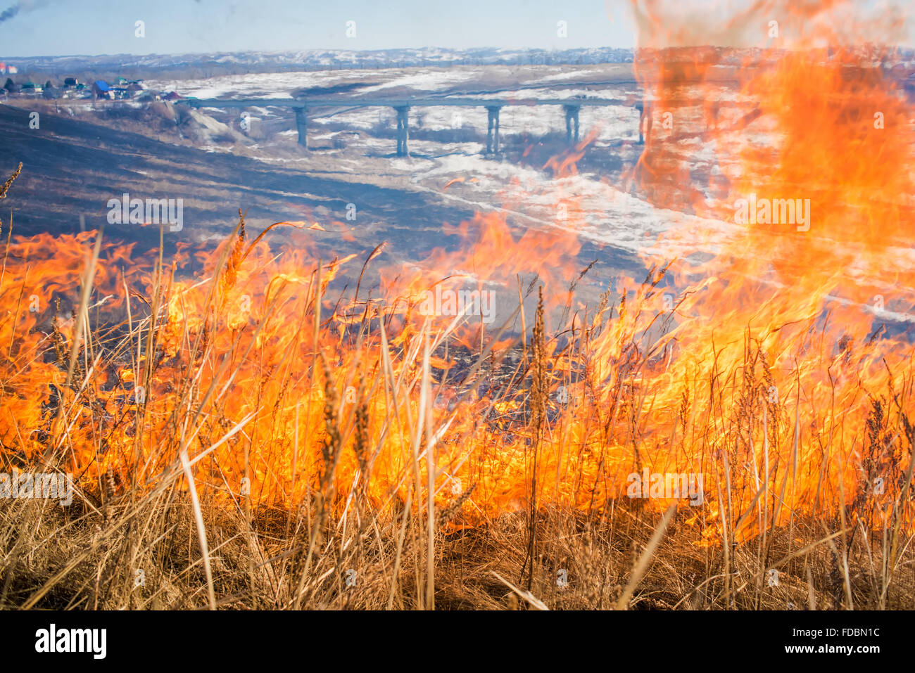 Wild grass on fire Stock Photo - Alamy